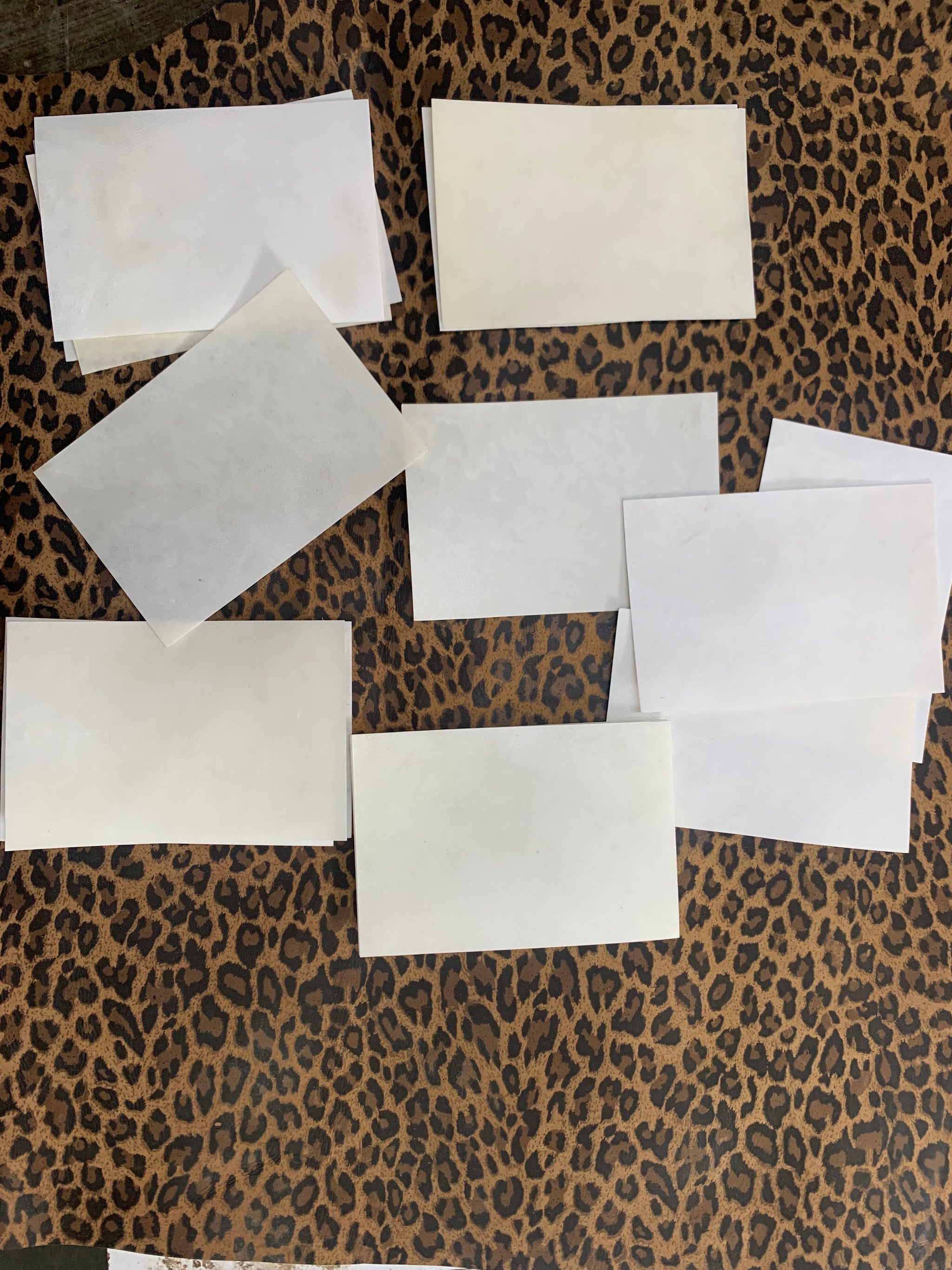 Buy Premium goat leather Parchment & Calf skin Vellum – CS Exports